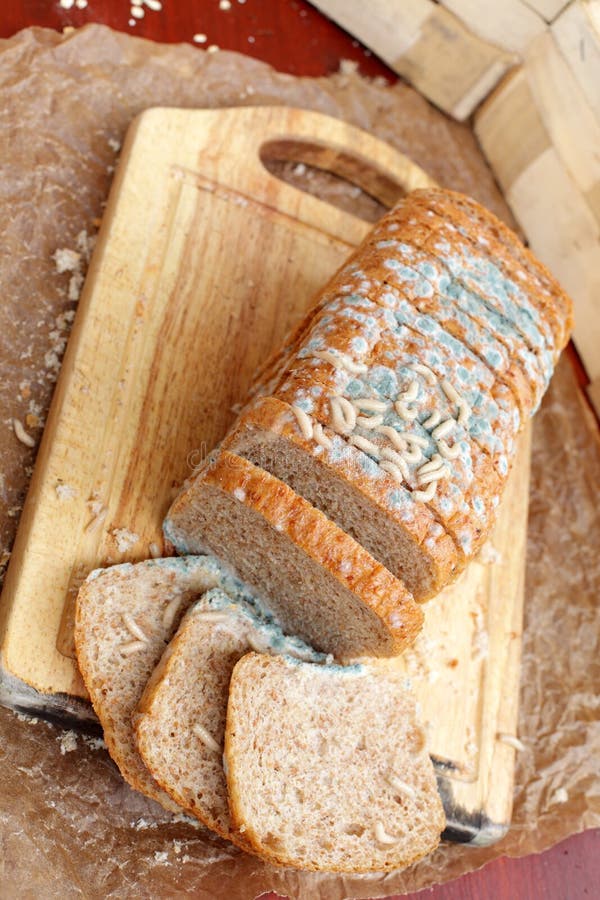 Loaf of bread stock photo. Image of crumbs, disorder - 14633178