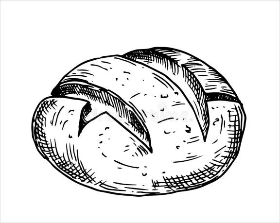 Loaf of Bread, Vector Drawing in Sketch Style Stock Illustration ...