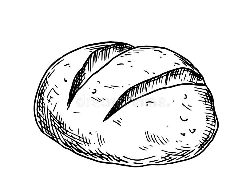 Loaf of Bread, Vector Drawing in Sketch Style Stock Illustration ...