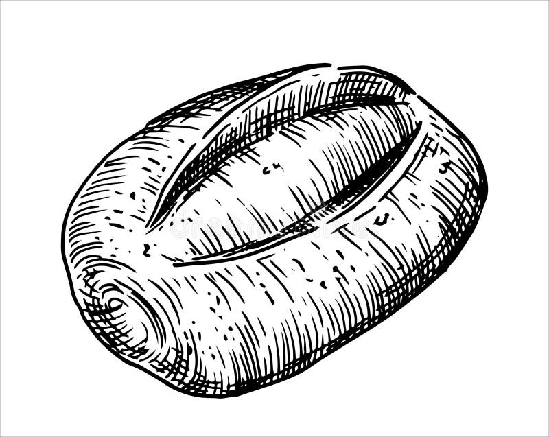 Loaf of Bread, Vector Drawing in Sketch Style Stock Illustration ...