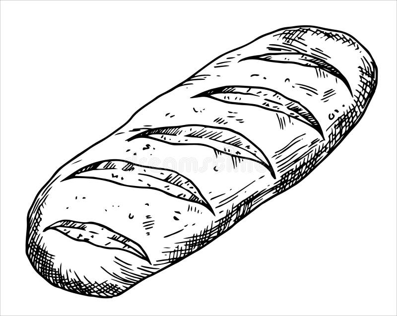 Loaf of Bread, Vector Drawing in Sketch Style Stock Illustration ...
