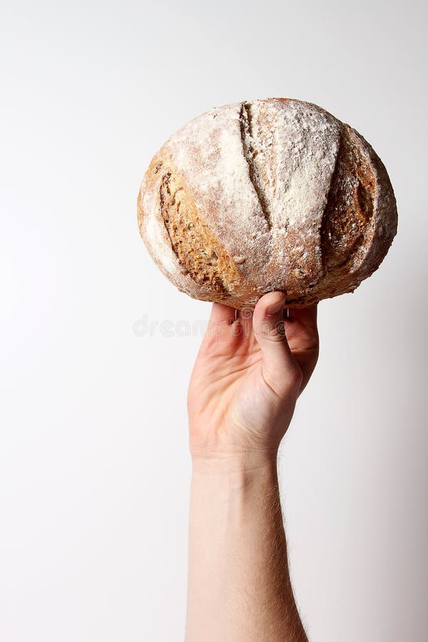 Loaf of the Day stock photo. Image of baking, grain, hand - 27330104