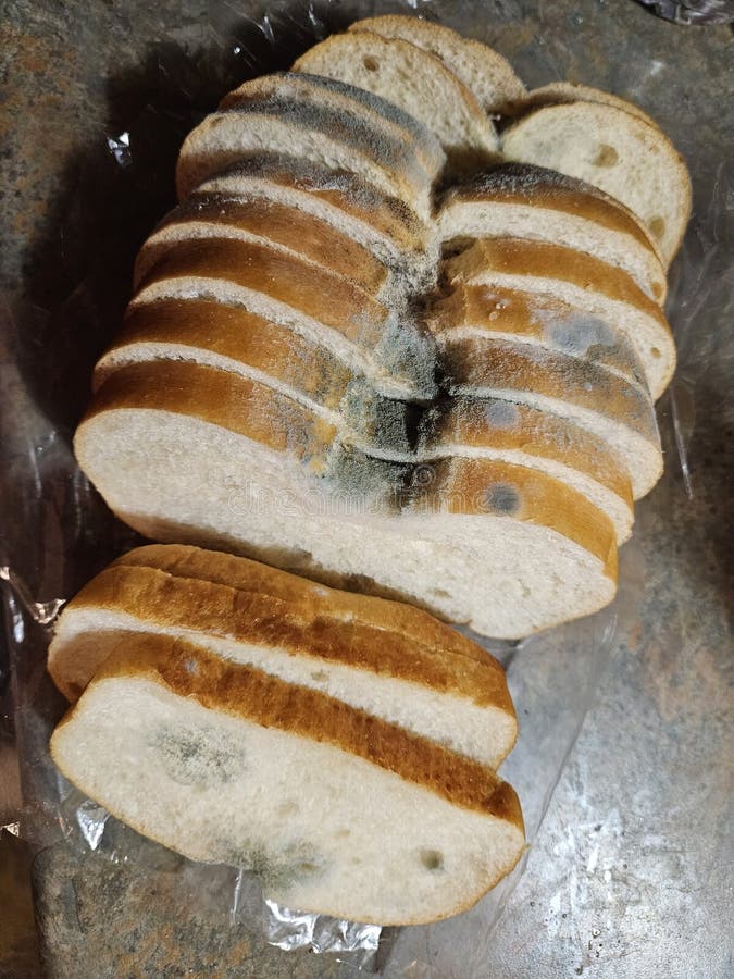 A Loaf of Molded Bread Moldy Stock Image - Image of outdated, expired ...