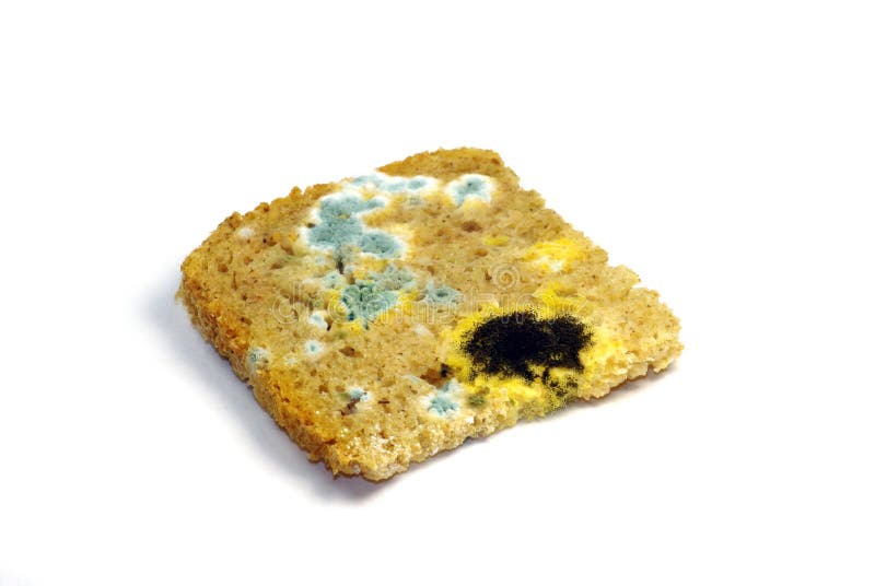 Mouldy Bread stock photo. Image of meal, fuzz, eating - 4772860