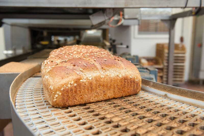Baker Baking Bread Showing the Product Stock Image - Image of bakery ...