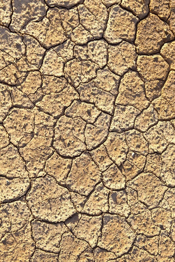 Loam in a saline basin stock image. Image of close, bare - 35766509