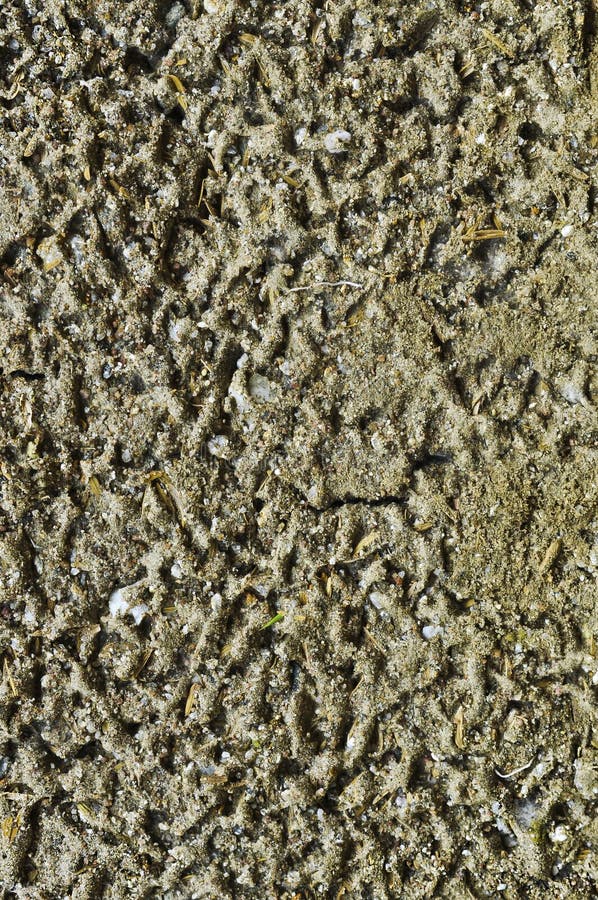 109 Loam Wall Rough Surface Texture Background Stock Photos - Free ...