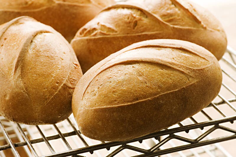 Loaves of bread stock photo. Image of basic, breads, nourish - 560932