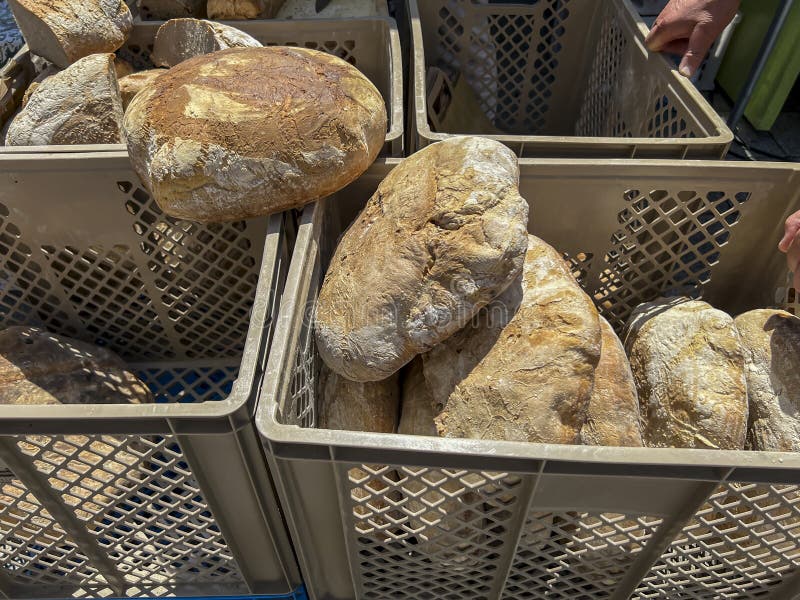 Loaves of Bread Lying in Plastic Crates Ready To Be Cut, Tasted and ...