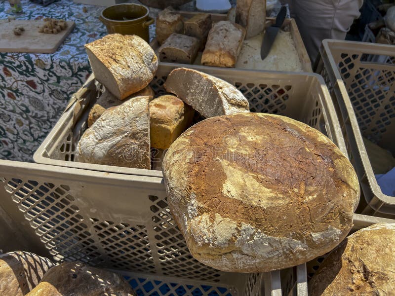 Loaves of Bread Lying in Plastic Crates Ready To Be Cut, Tasted and ...