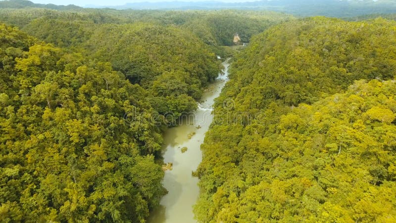Tropischer Loboc-Fluss, Blauer Himmel, Bohol-Insel, Stockfoto - Bild ...