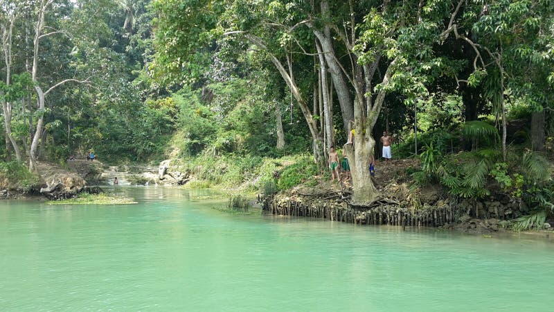 Loboc-Fluss Im Dschungel, Bohol-Insel in Philippinen Redaktionelles ...