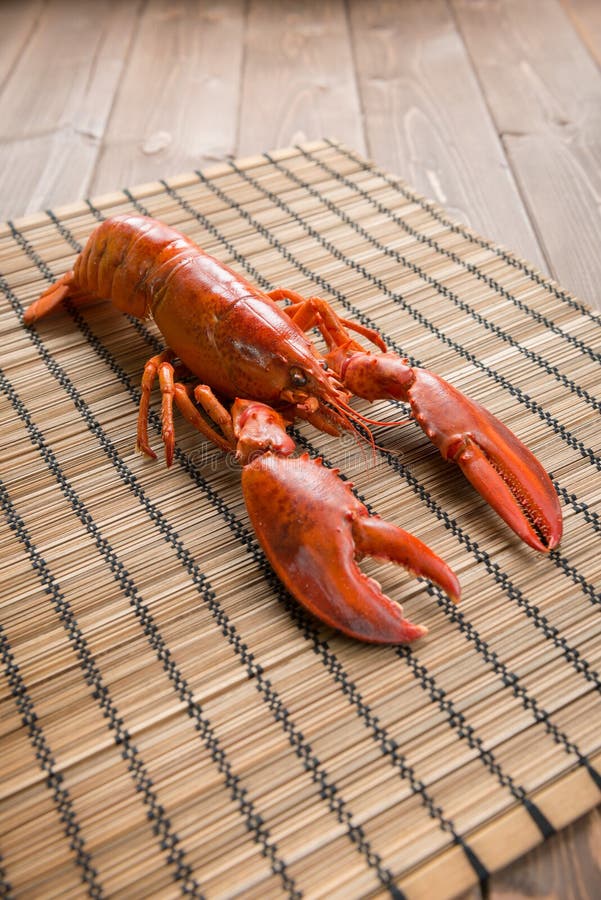 Bamboo Lobster stock photo. Image of live, fresh, harvest - 34616536