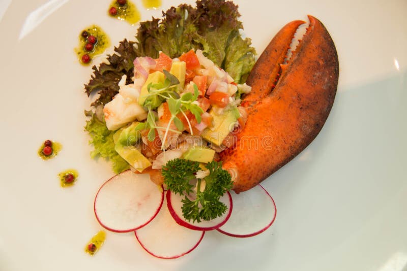 Lobster avocado salad stock photo. Image of boiled, salad - 66339970