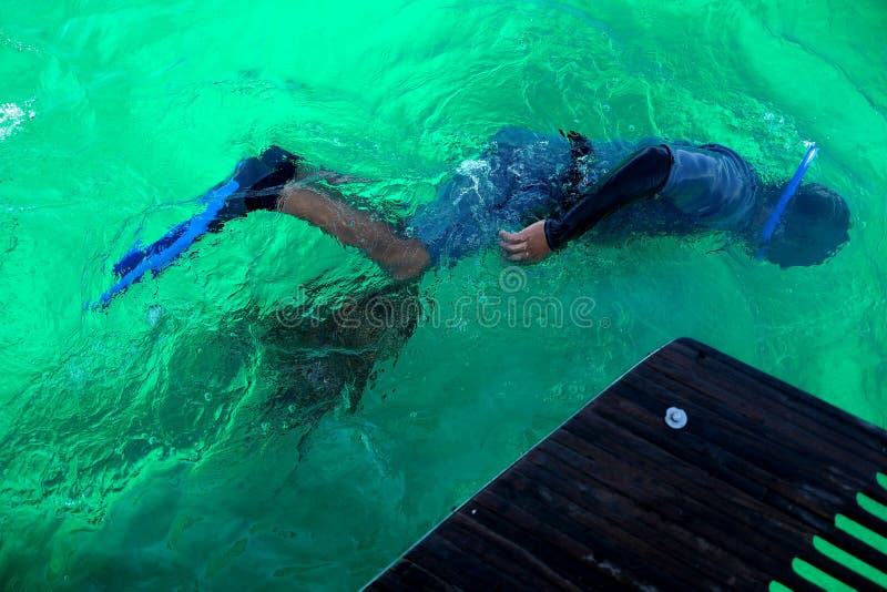 Lobster catching in Cuba editorial photo. Image of fresh - 88798476