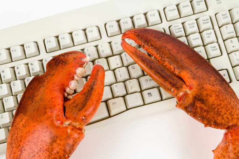 Lobster Claw and Computer Keyboard Stock Image - Image of safety ...