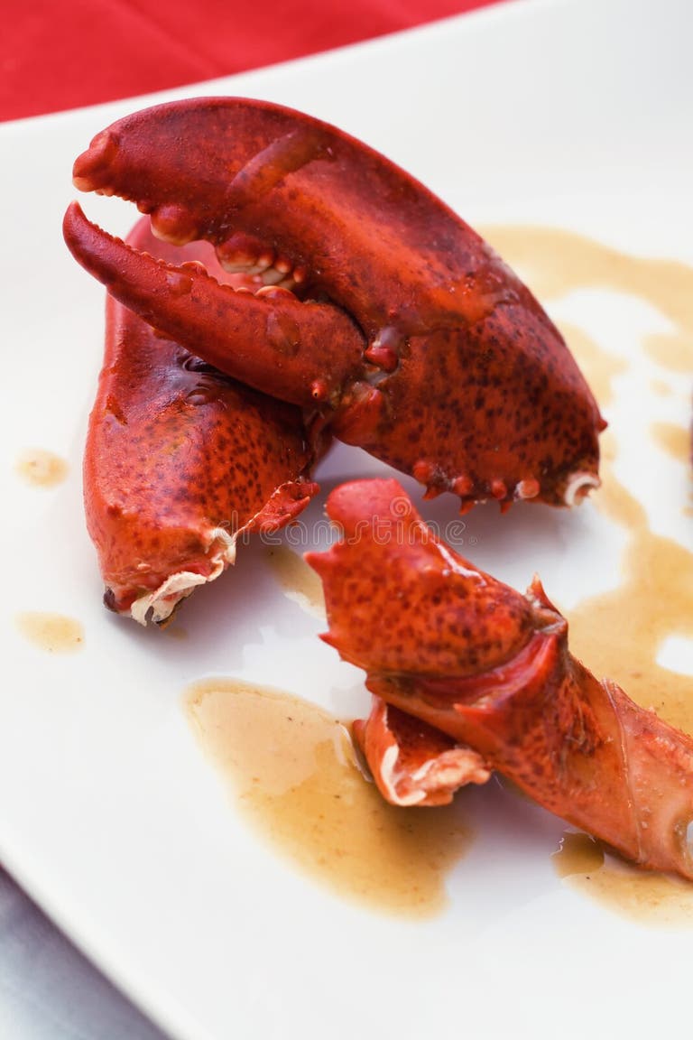4,459 Lobster Claws Stock Photos - Free & Royalty-Free Stock Photos ...