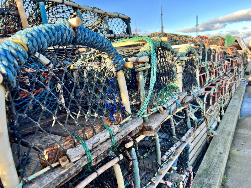 Lobster or Crab Pots stock image. Image of trap, catch - 299746921