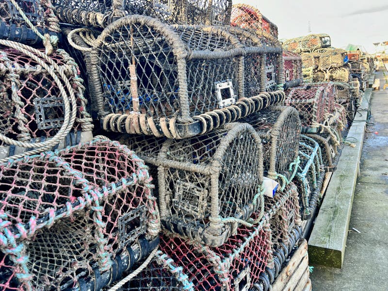 Lobster or Crab Pots stock image. Image of fishing, industry - 299746951
