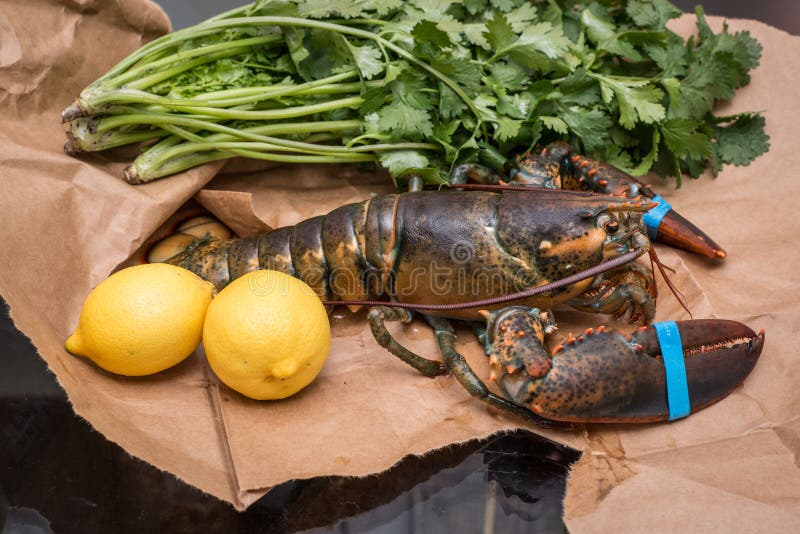Lobster stock image. Image of restaurant, fresh, gourmet - 83641161
