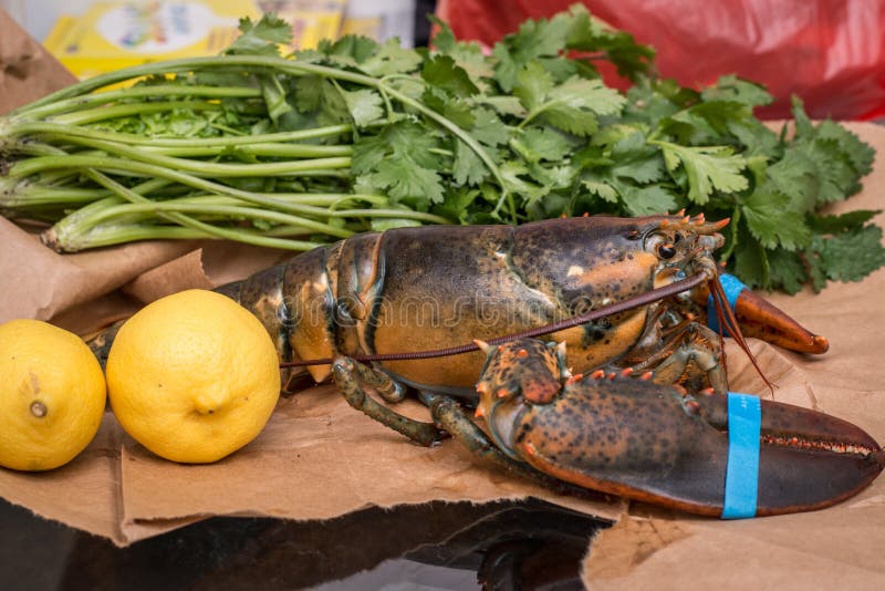 Lobster stock image. Image of restaurant, fresh, vintage - 83641191