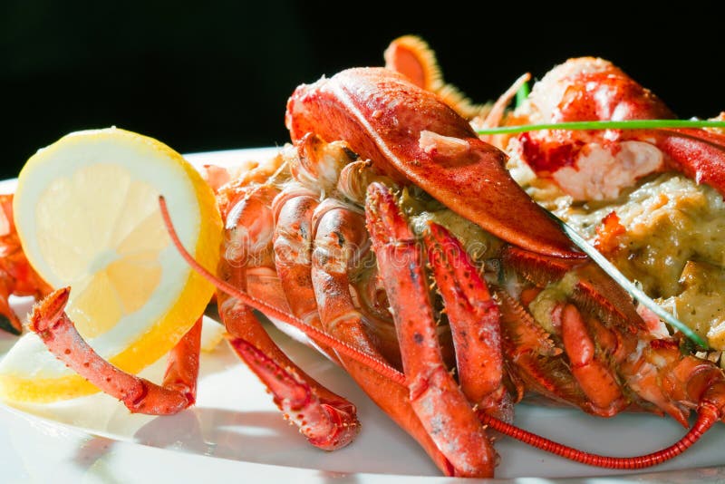 Lobster with lemon stock photo. Image of displayed, oyster - 46089676