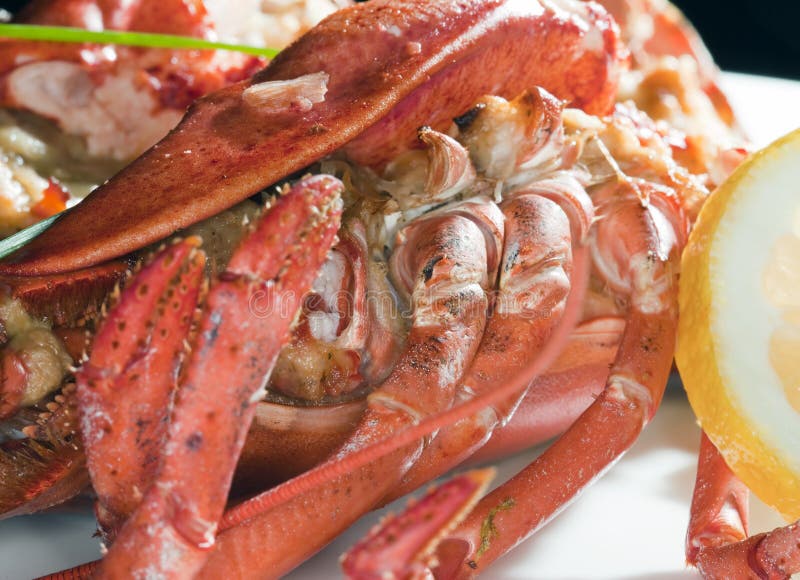 Lobster with lemon stock photo. Image of ocean, displayed - 46458444