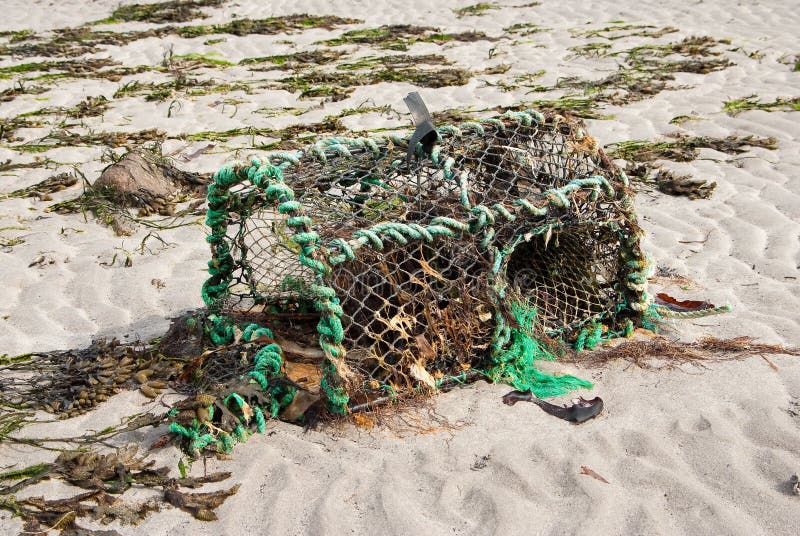 Lobster pot stock photo. Image of seaweed, scotland, beach - 9248026