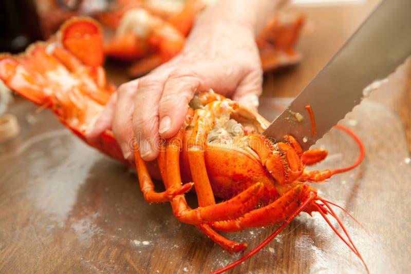 Lobster preparation stock photo. Image of claws, knife - 27483712