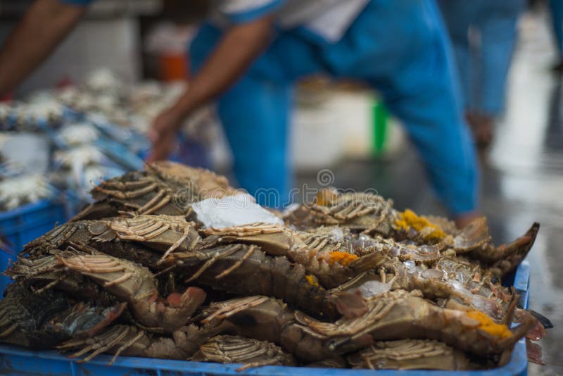 Lobster Tails Fish Market stock image. Image of fish - 66117831