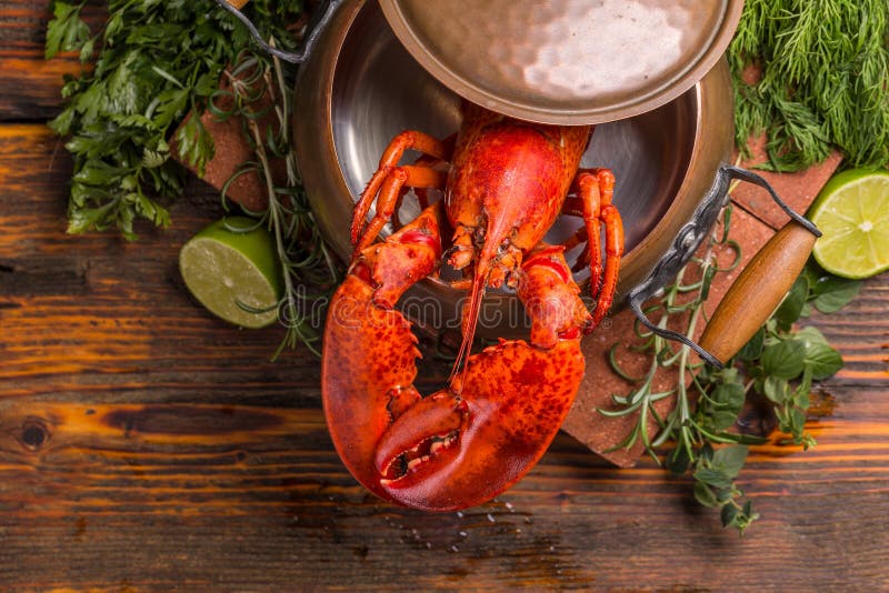 Lobster stock photo. Image of wooden, rustic, life, shellfish - 60037578