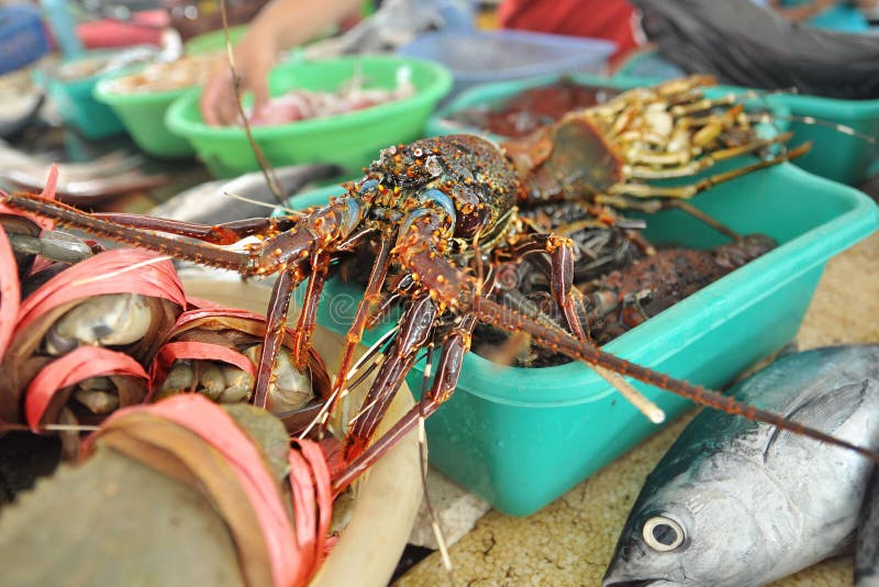 Lobster in Traditional Fish Market Stock Image - Image of culinary ...