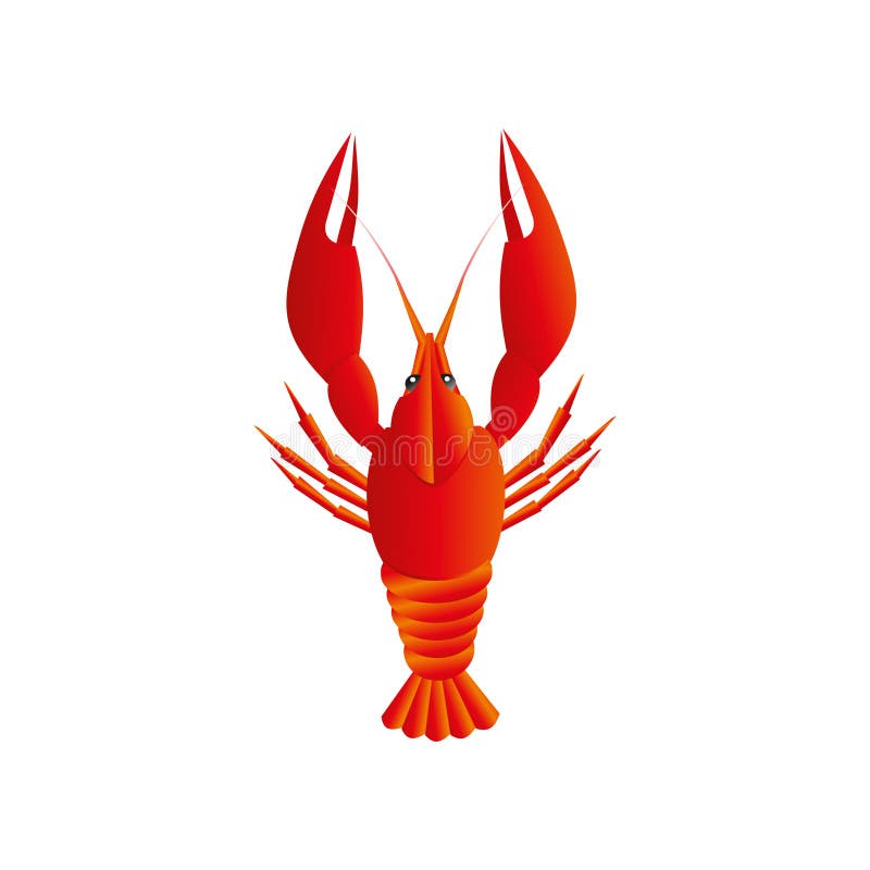 Lobster Vector Flat Illustration Isolated on White Background. Fresh ... Lobster Vector Flat Illustration Isolated on White Background. Fresh ...