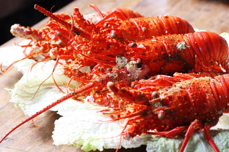 Lobsters stock image. Image of delicious, full, dinner - 13161245