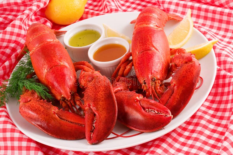 Whole Maine Lobster Dish stock photo. Image of tablecloth - 54182
