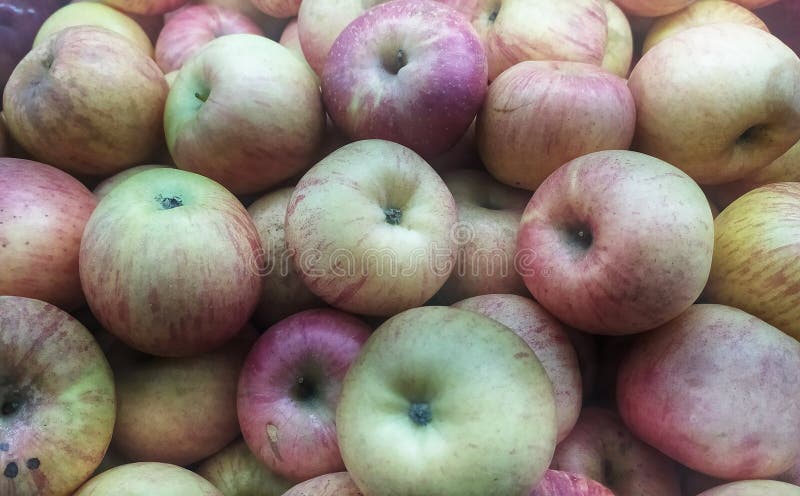 Local apple in a shop self stock photo. Image of dessert - 211946128