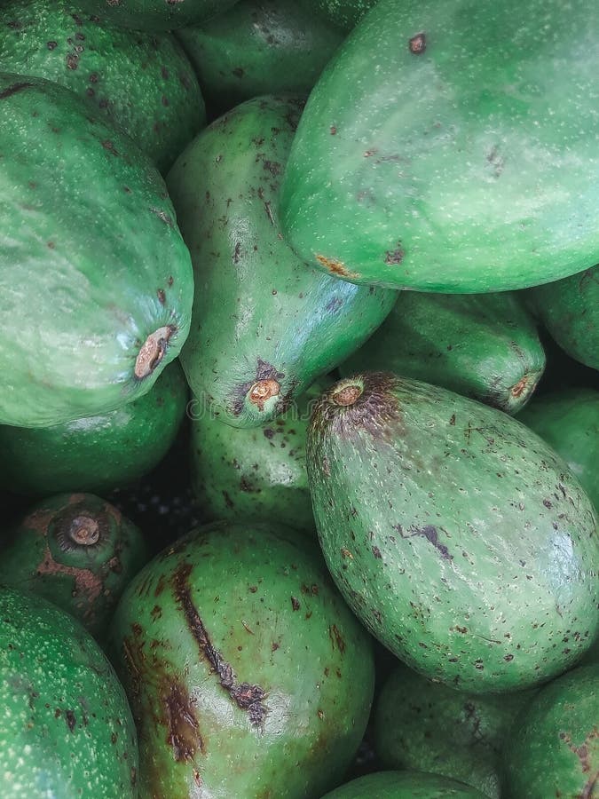 Local Avocado market stock image. Image of local, green - 226555705