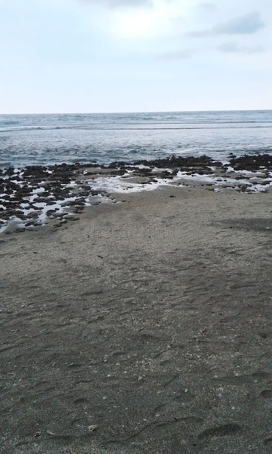 The Local Beach Early in the Morning and Trees Stock Photo - Image of ...