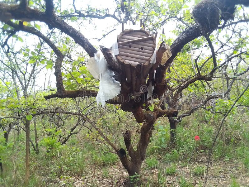 Local bee hive stock photo. Image of shrub, plant, garden - 325294756