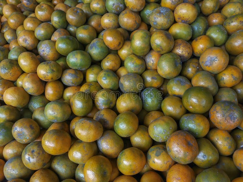 Citrun Stock Photos - Free & Royalty-Free Stock Photos from Dreamstime