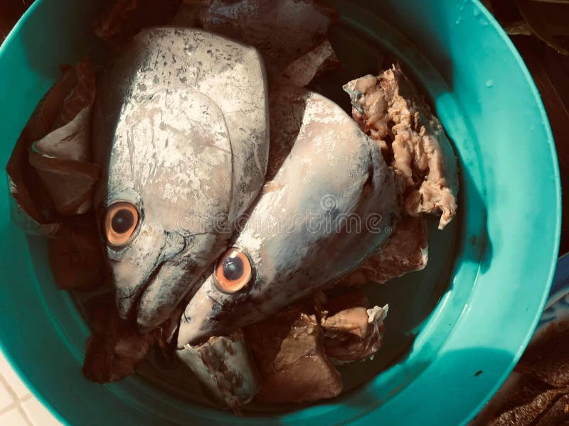 Local fish in bali stock photo. Image of fish, cooking - 202607148