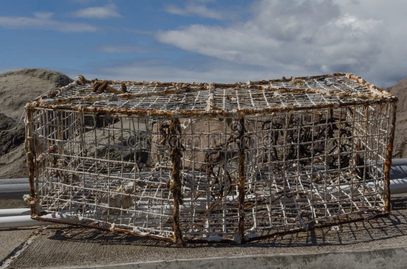 Local Fish Pot stock image. Image of fish, locally, pygerythrus - 69913597