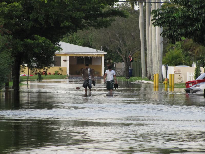 Local Flood - Waders in Street Editorial Stock Image - Image of trees ...