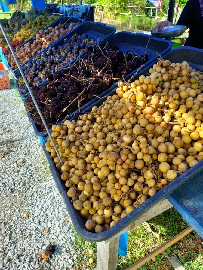 Local fruit stock image. Image of agriculture, vegetable - 233824905