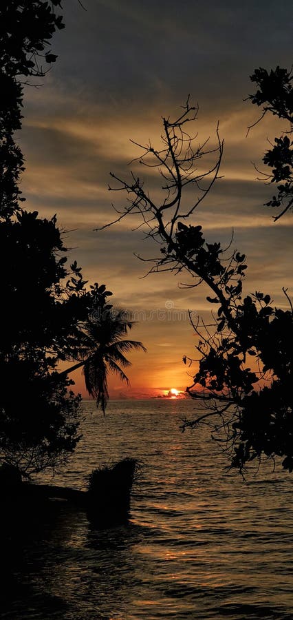 Local island Sunset stock photo. Image of night, leaf - 218243734