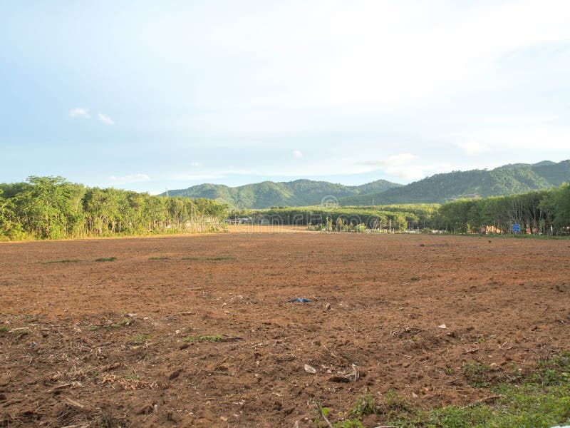 Local Landscape with Forest Land Overlooking the Mountains. Stock Image ...
