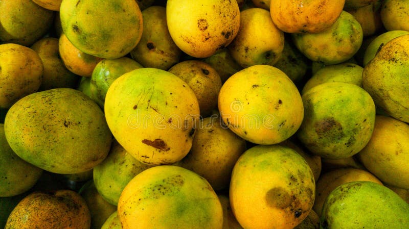 Local Mangoes Stack on Supermarket Display Stall Stock Photo - Image of ...