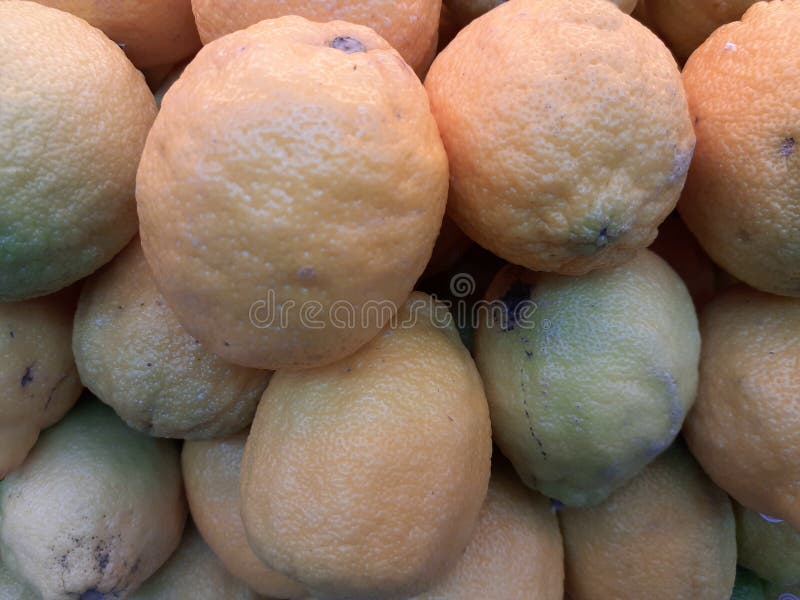 Local Orange Lemon from Indonesia Stock Image - Image of fruit, harvest ...