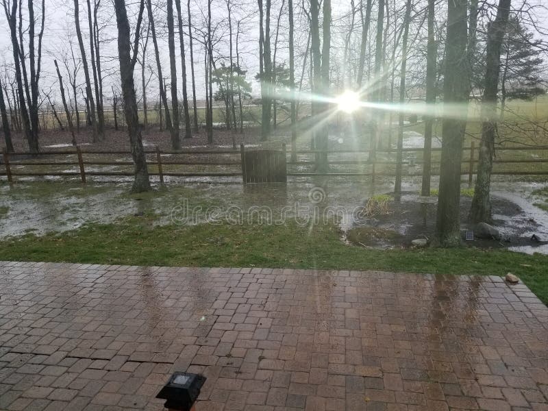 Local Oversaturation of Rain Stock Photo - Image of local, grounds ...