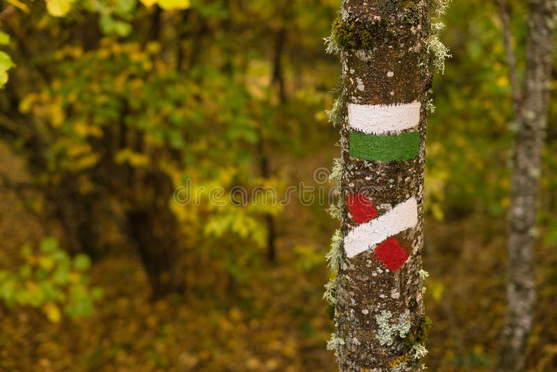 Local Path and Long Distance Path Stock Photo - Image of copy ...